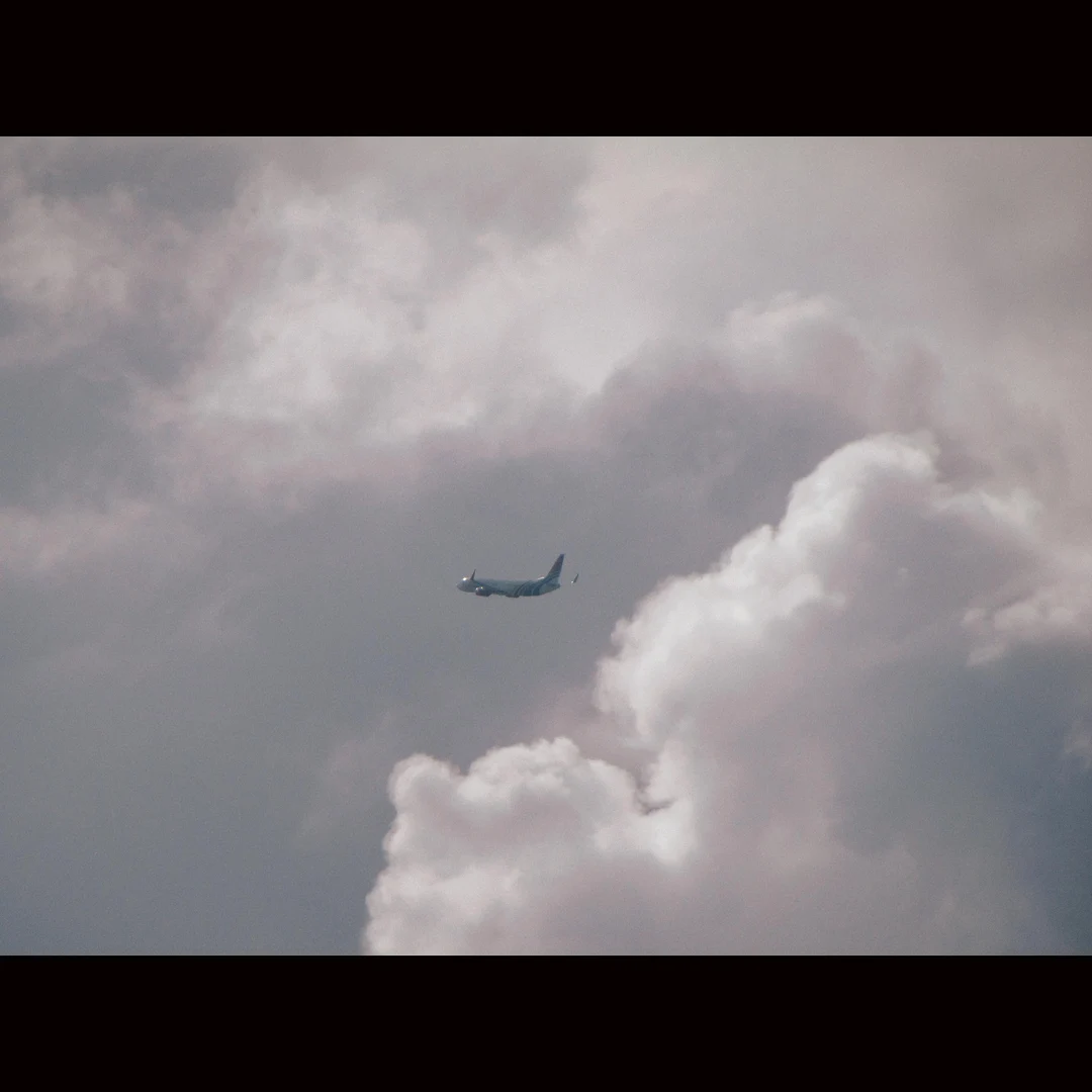 Taking flight | Scrolller