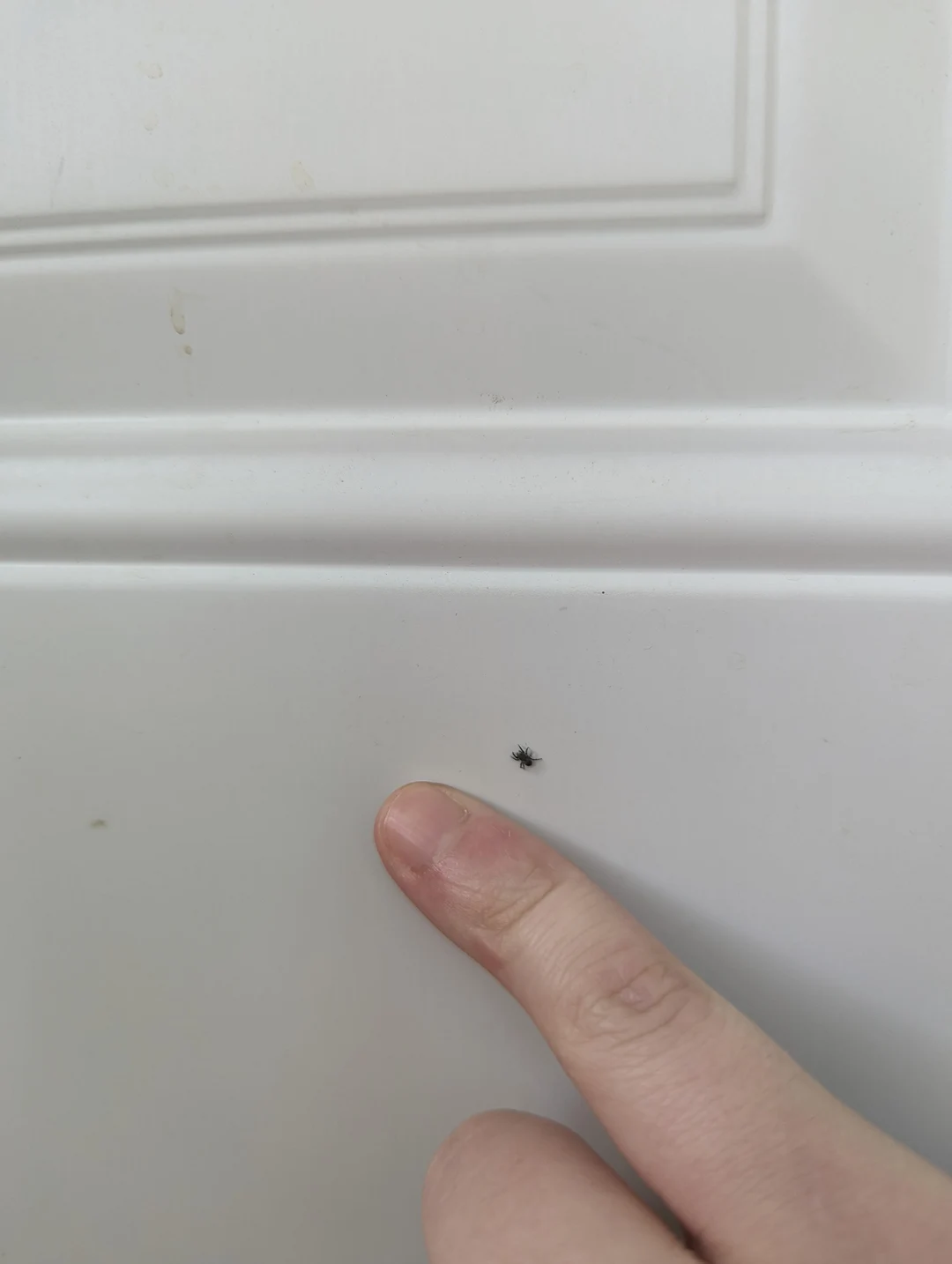 Him jus little guy 🥹 | Scrolller