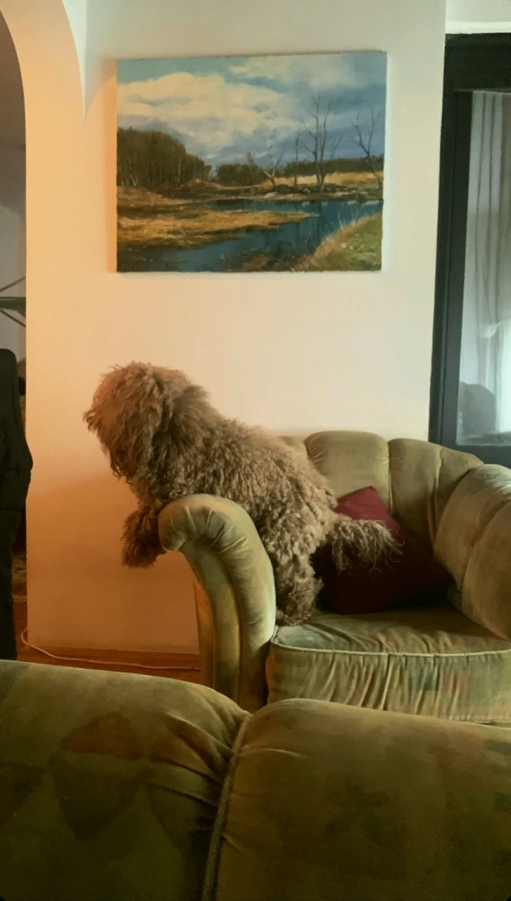 He was chillin' | Scrolller