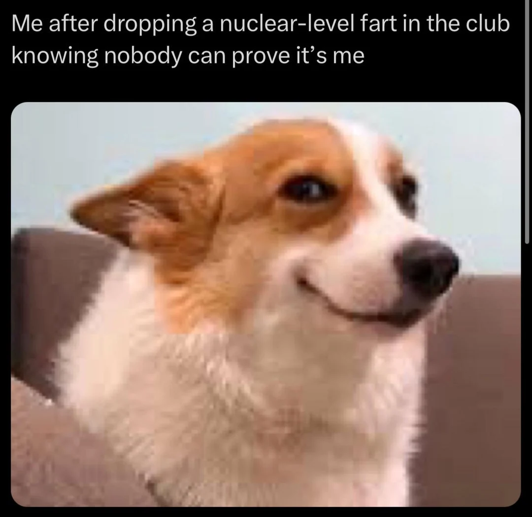 Somebody stop him he’ll expose us all | Scrolller