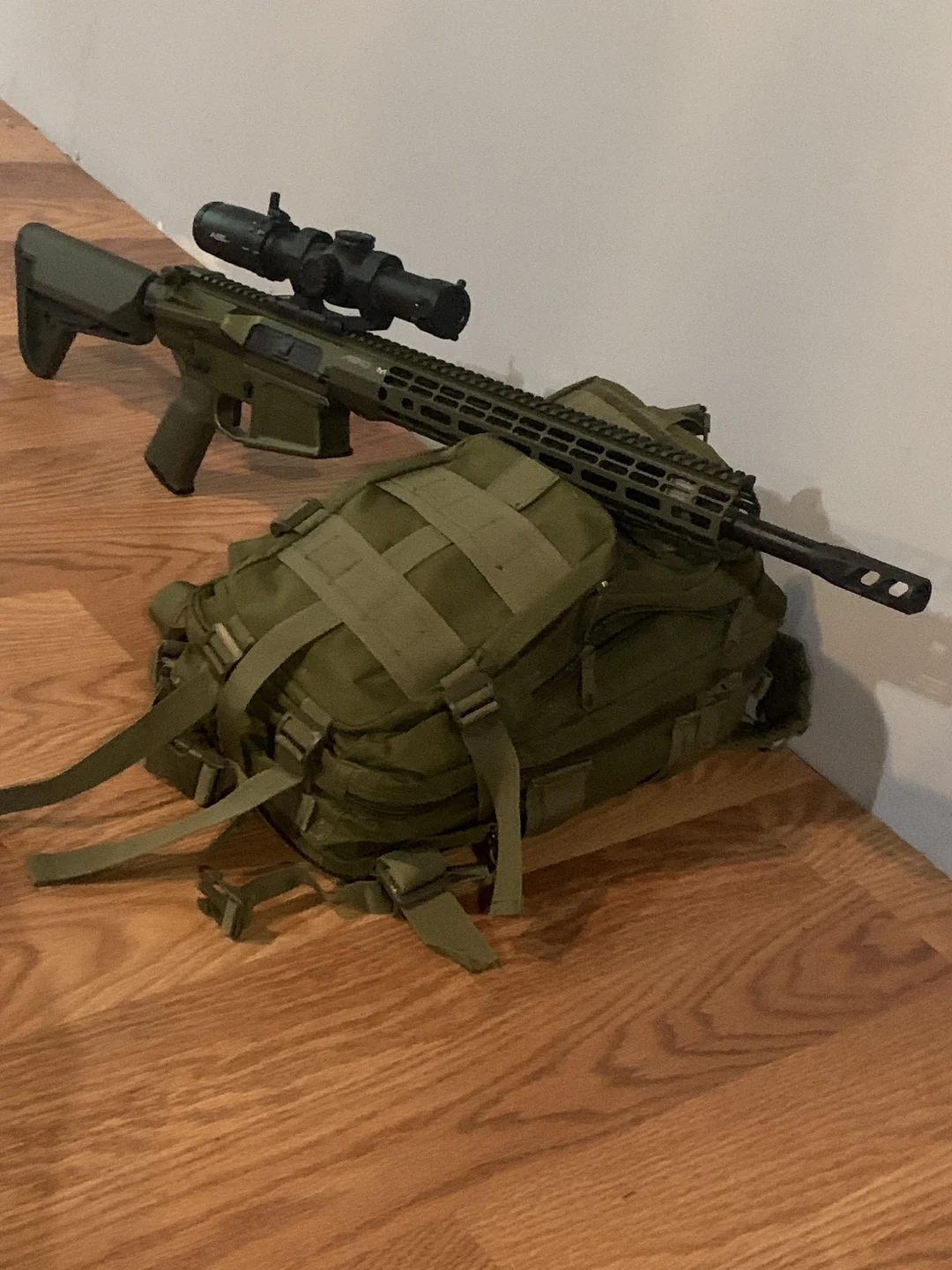 My first AR-10 build. Aero lower and upper, ballistic advantage bcg and 18” barrel, geissele ...