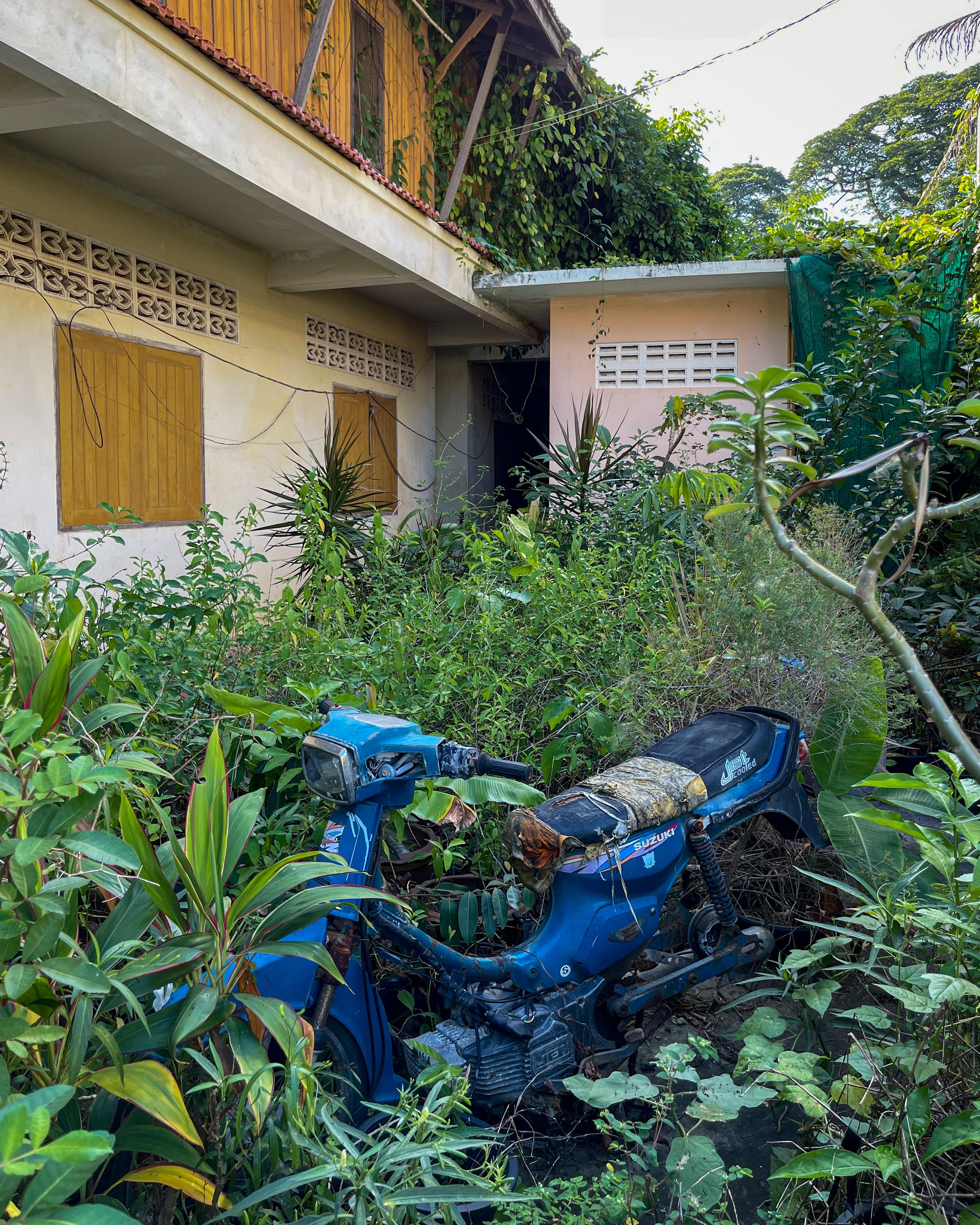 Somewhere behind an abandoned temple [OC] | Scrolller