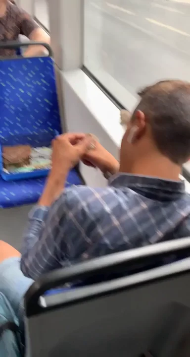 Animals in tram | Scrolller