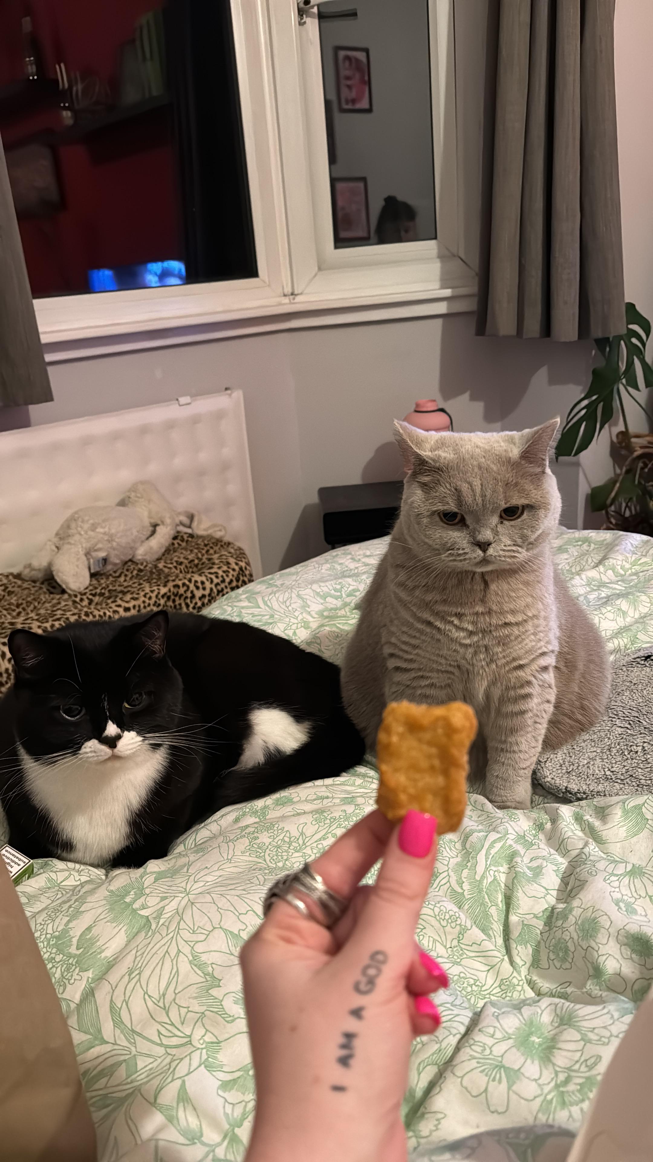 give me the nugget mom | Scrolller