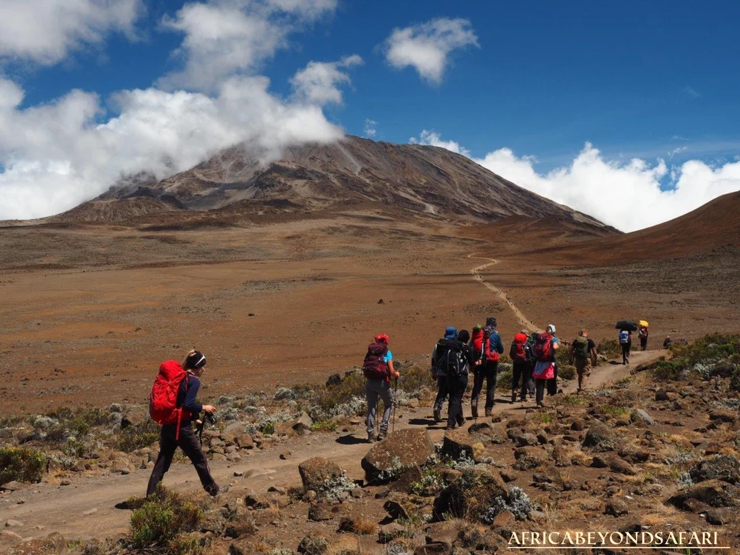 Conquer the New heights | Scrolller