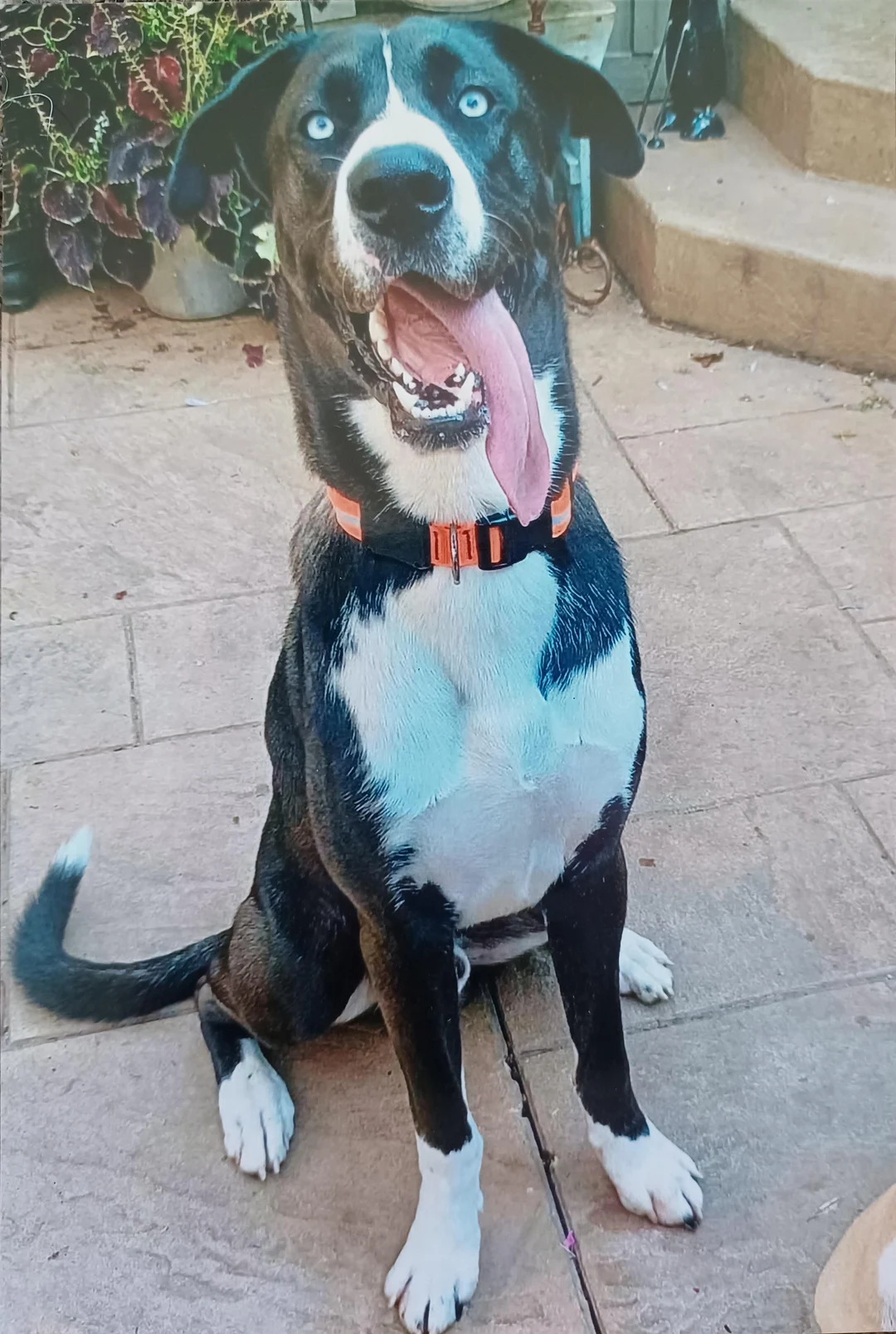 my big ole goober just enjoying life | Scrolller