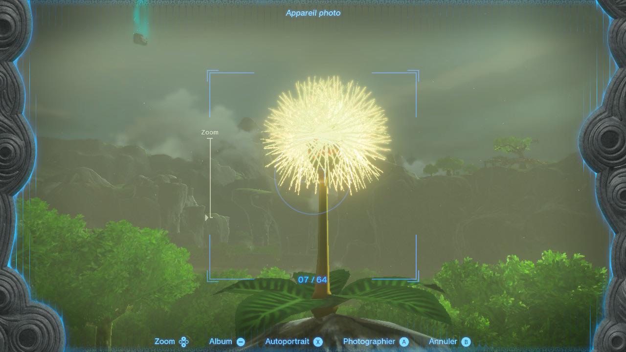 [TotK] What is this weird looking dandelion ? | Scrolller