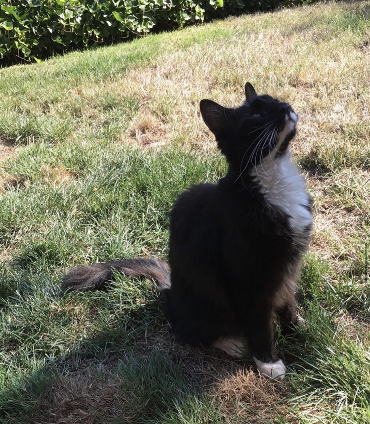 Soakin up some rays | Scrolller