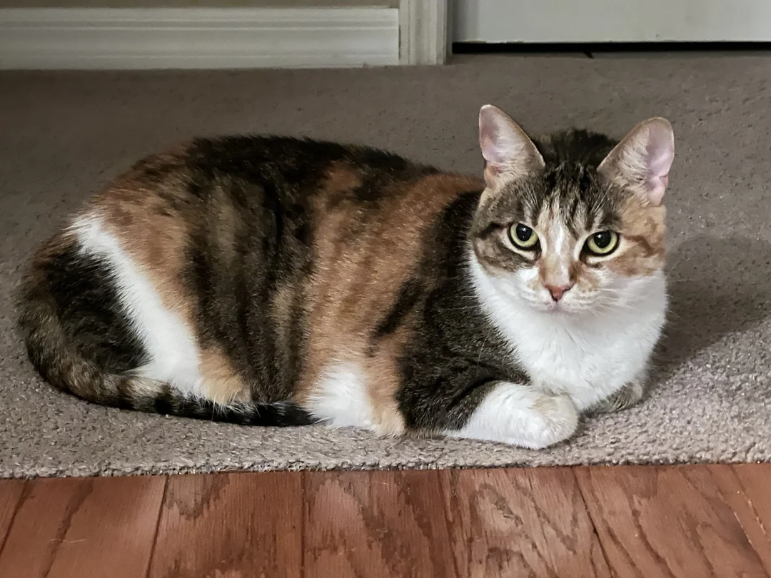Hallway Loaf | Scrolller