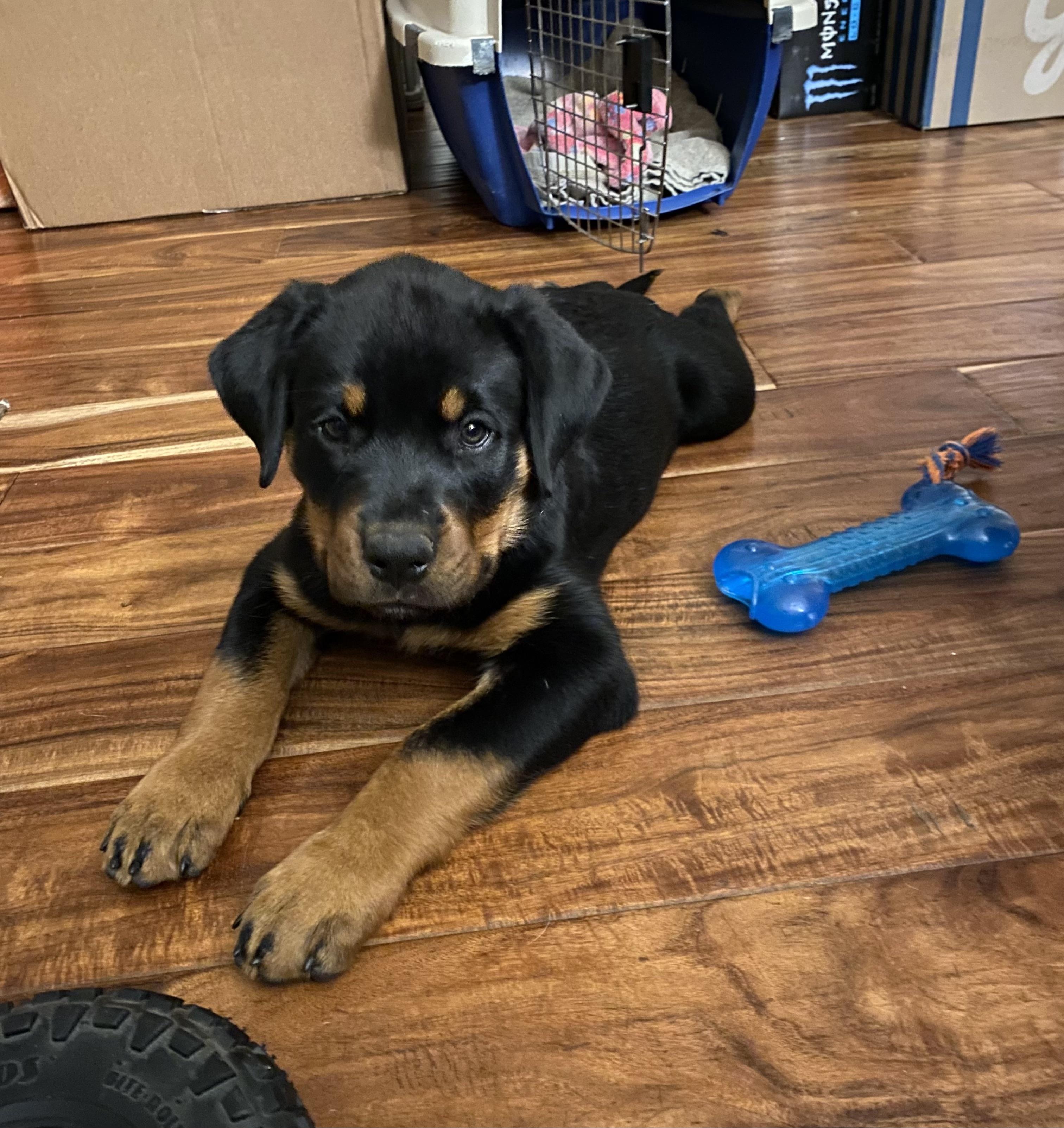 Here She Is | Scrolller