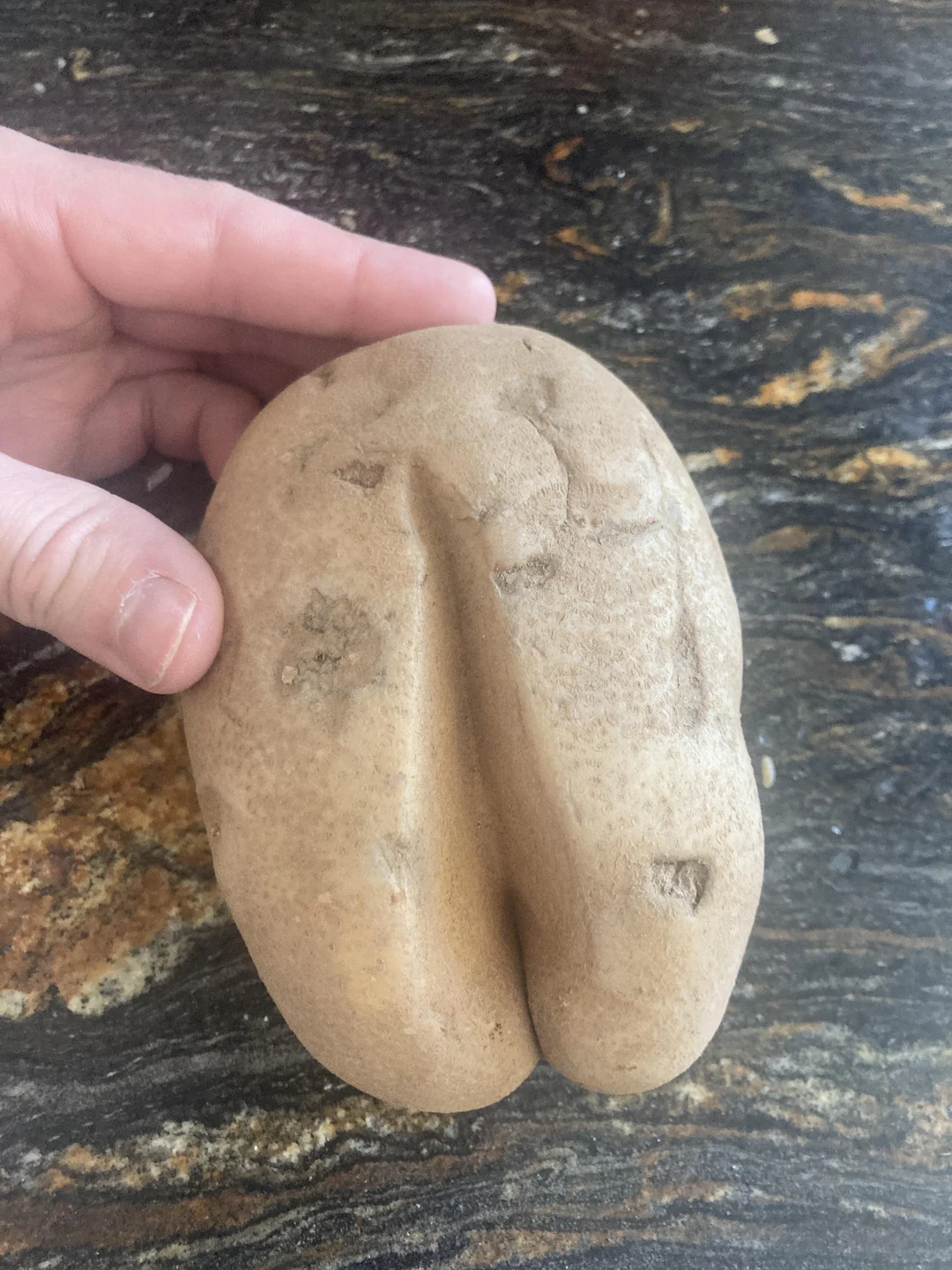 This potato | Scrolller