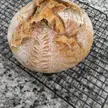 Discover more like Breadit: a leafy loaf 😊 and Related Content | Scrolller