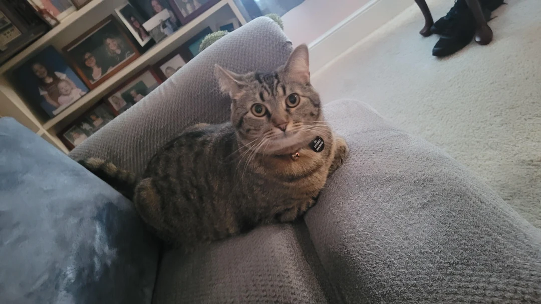 Me, a loaf?! | Scrolller