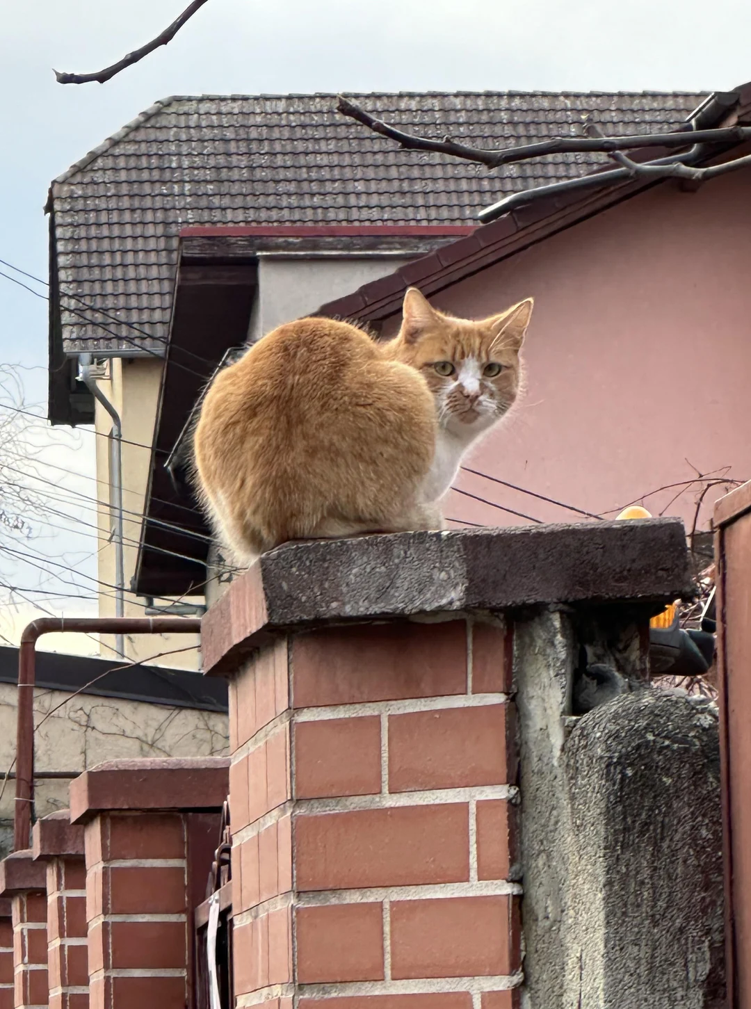 Thicc loaf | Scrolller