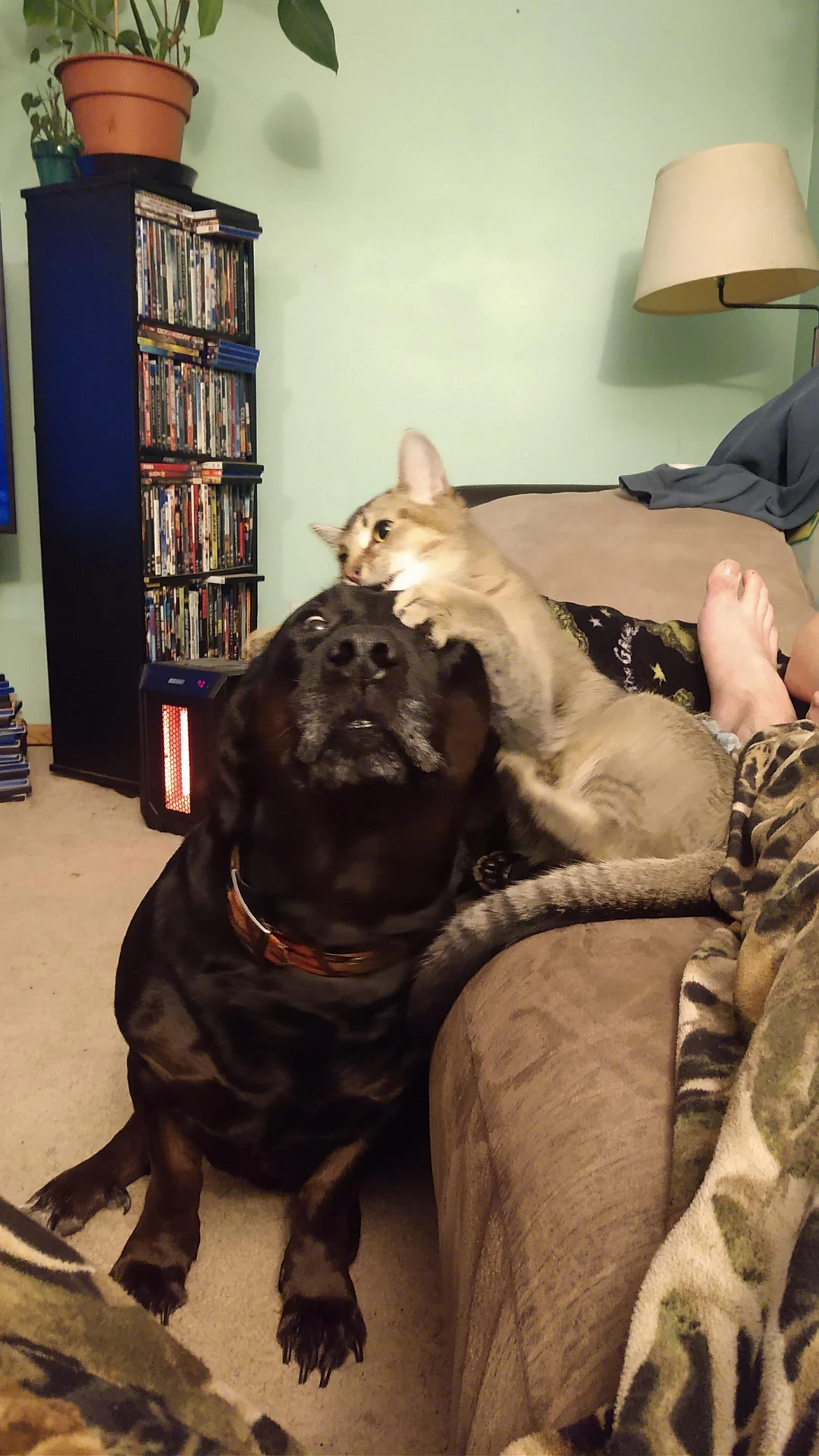 Sibling love | Scrolller