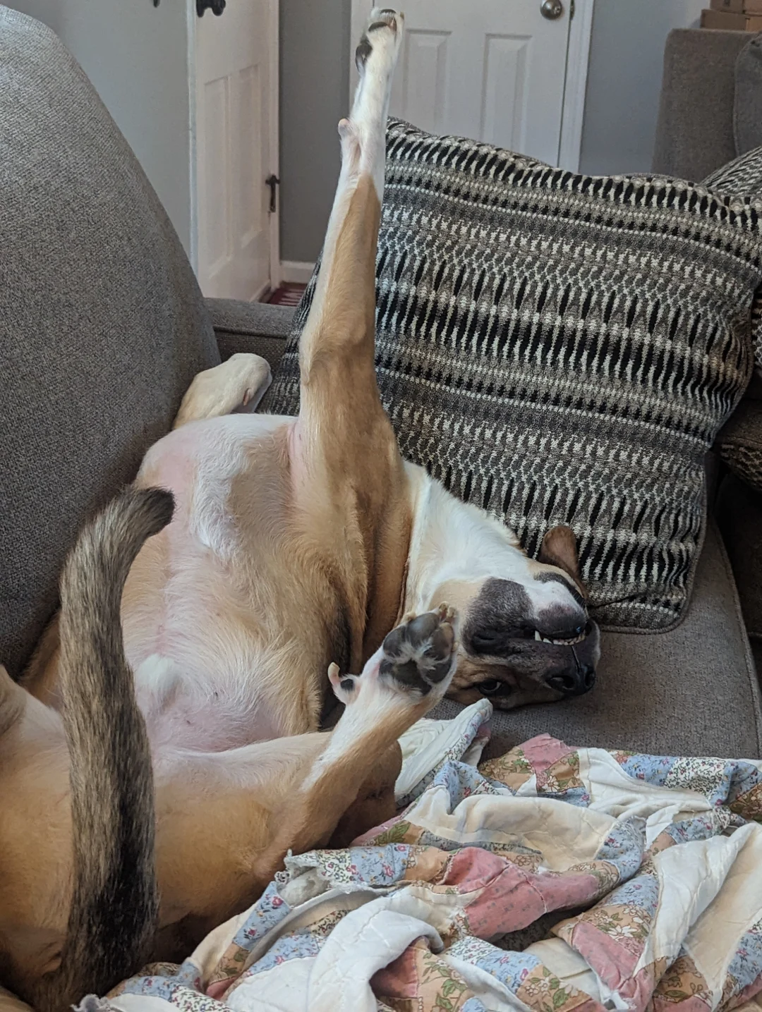 I call this position the "Sistine Chapel" 🥰 | Scrolller