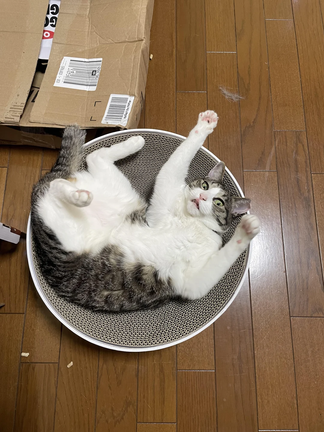 She’s special | Scrolller