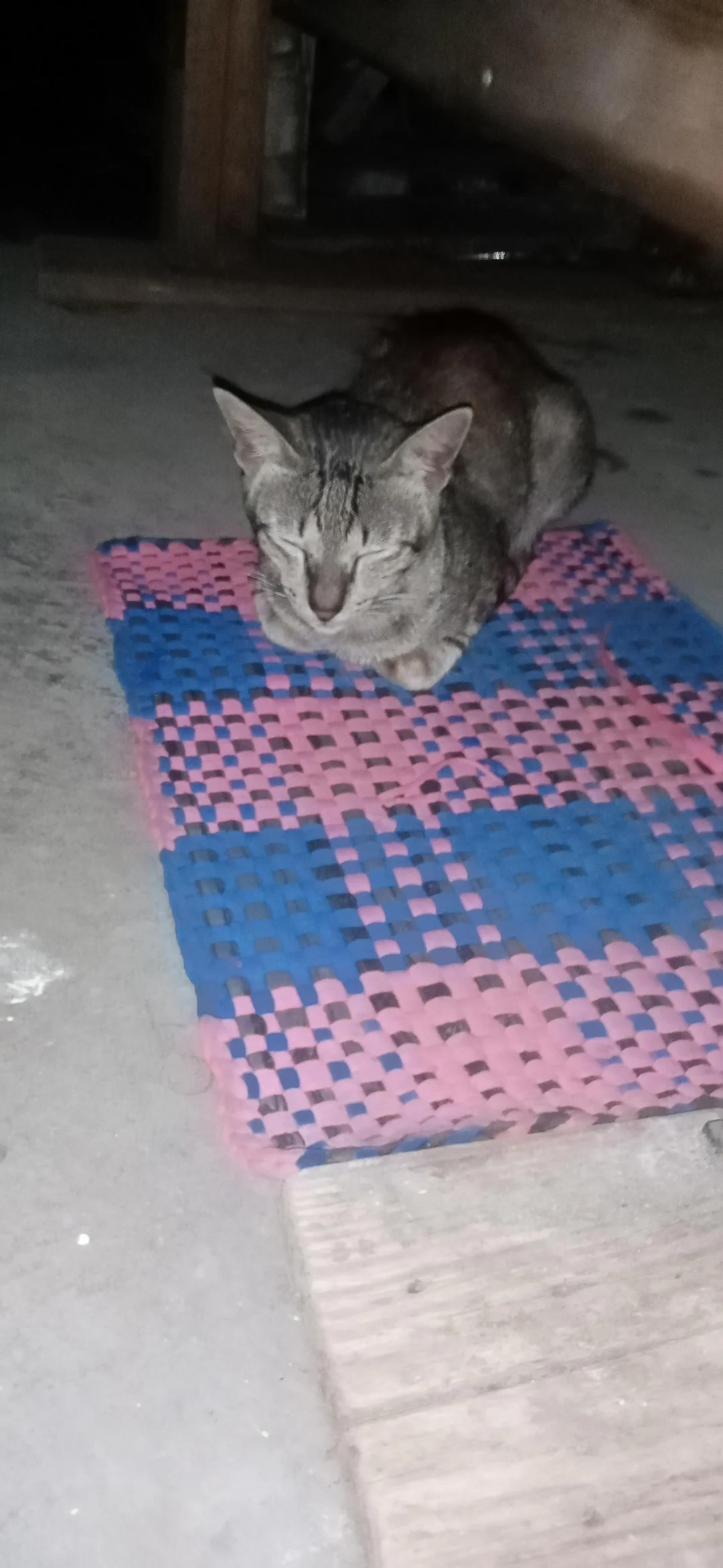 Super comfortable | Scrolller