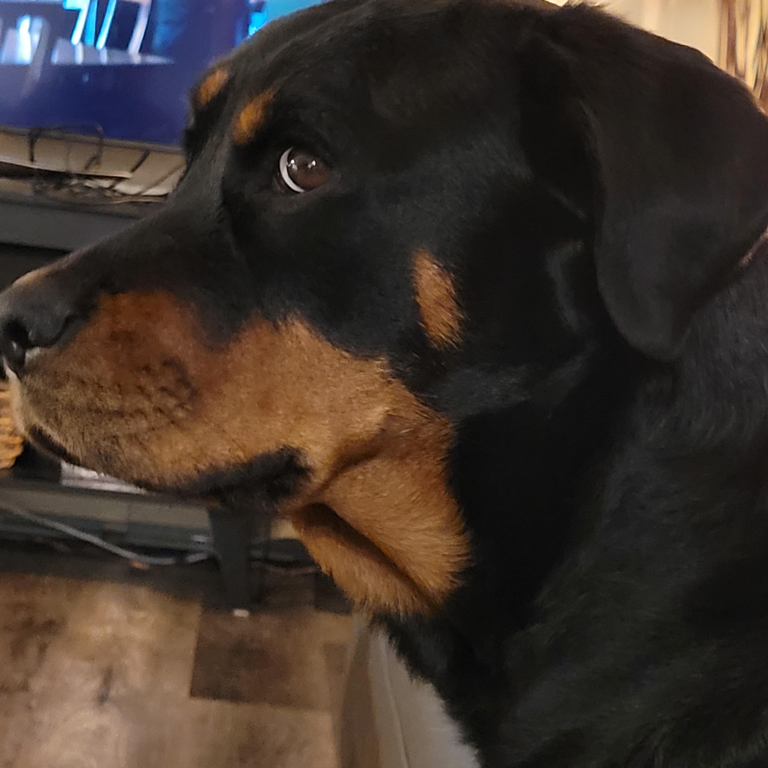 The side eye | Scrolller