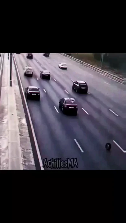 The Butterfly Effect | Scrolller