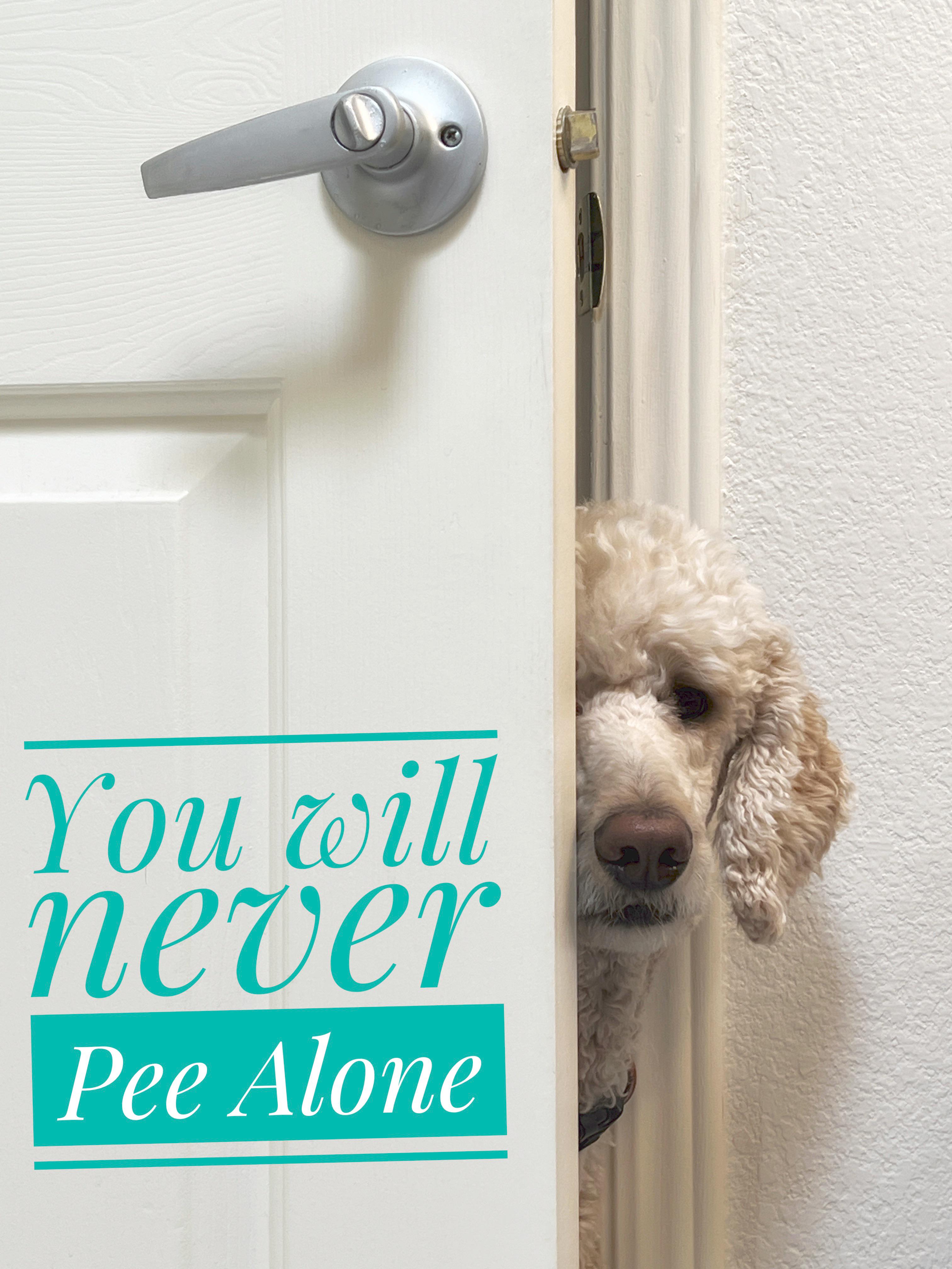 Marshall, this morning. | Scrolller