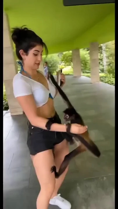 HMC while I take a selfie with a monkey | Scrolller