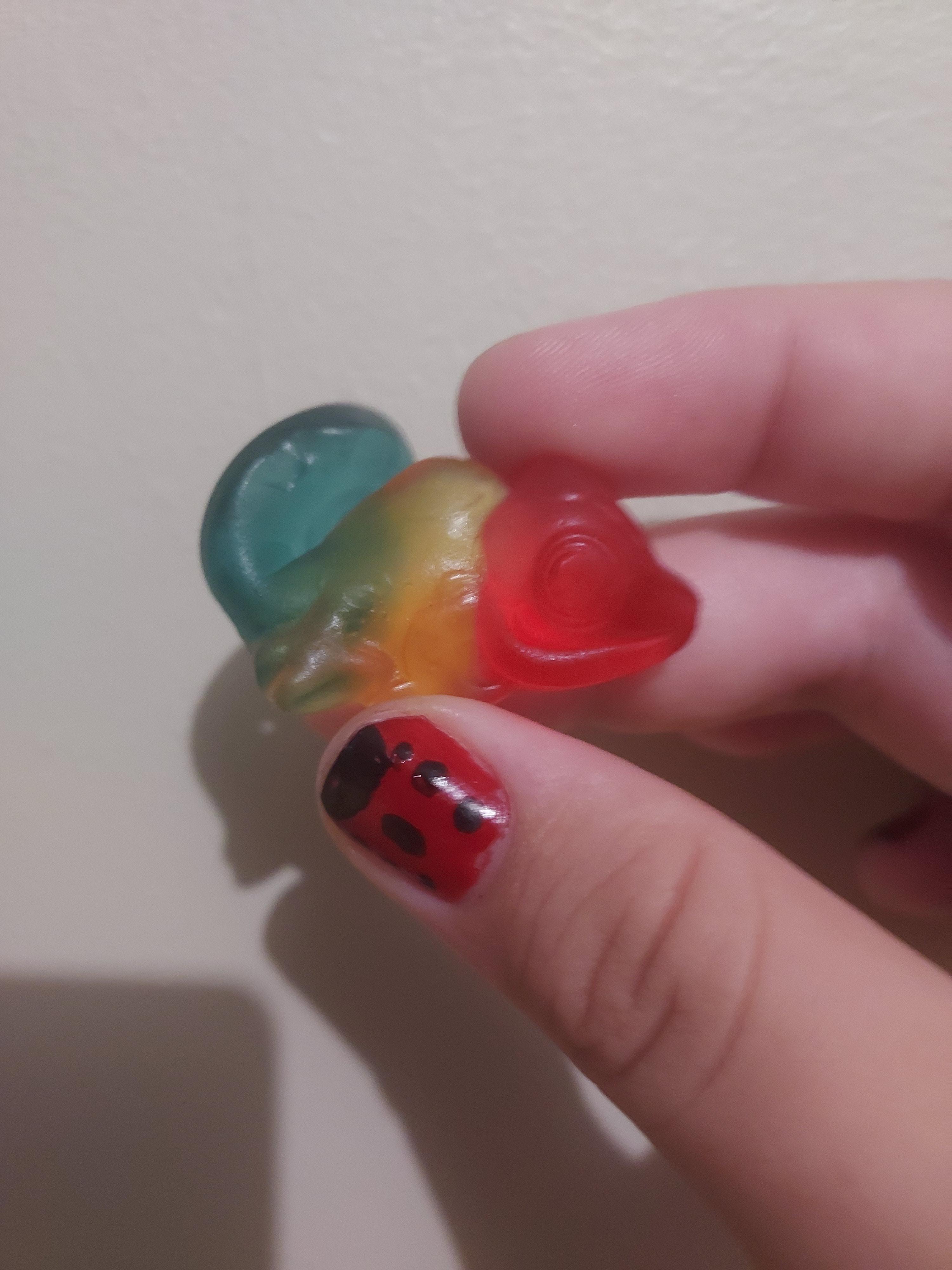 pan chameleon :) | Scrolller