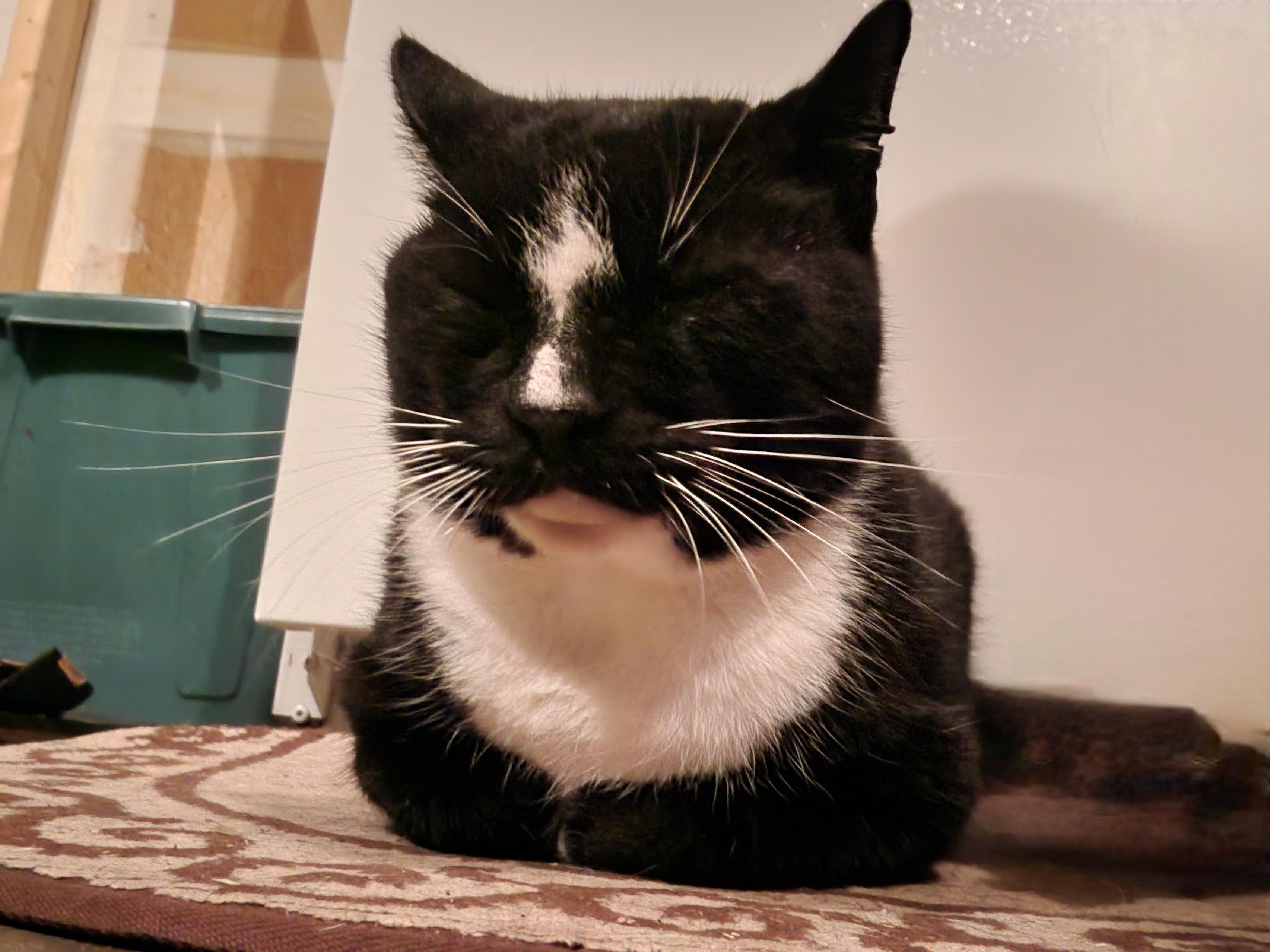 Front facing loaf | Scrolller