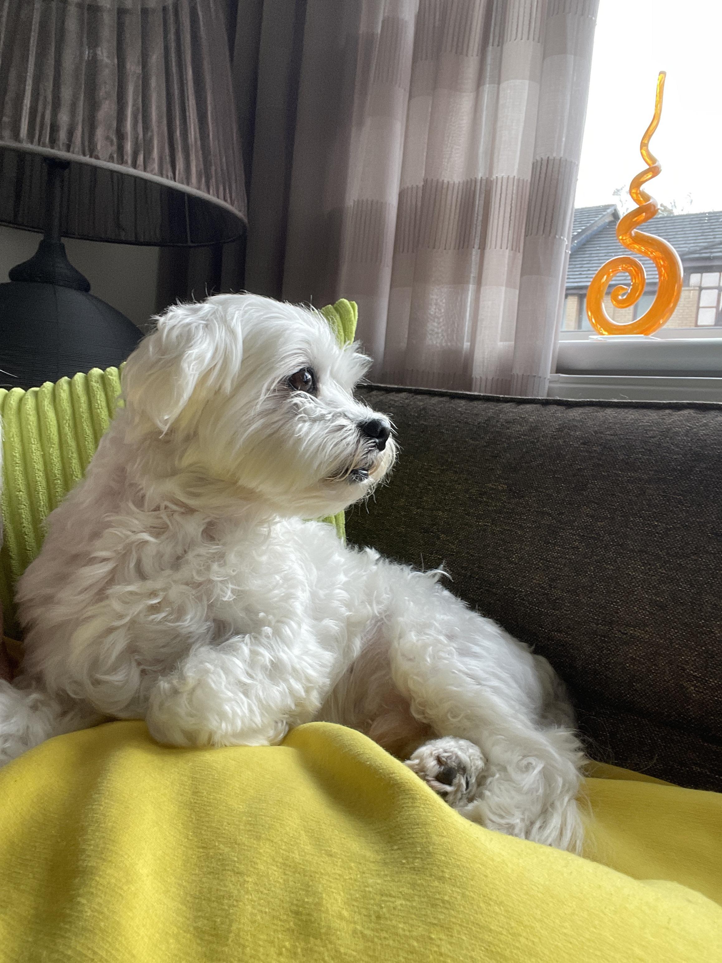 Chilling! | Scrolller