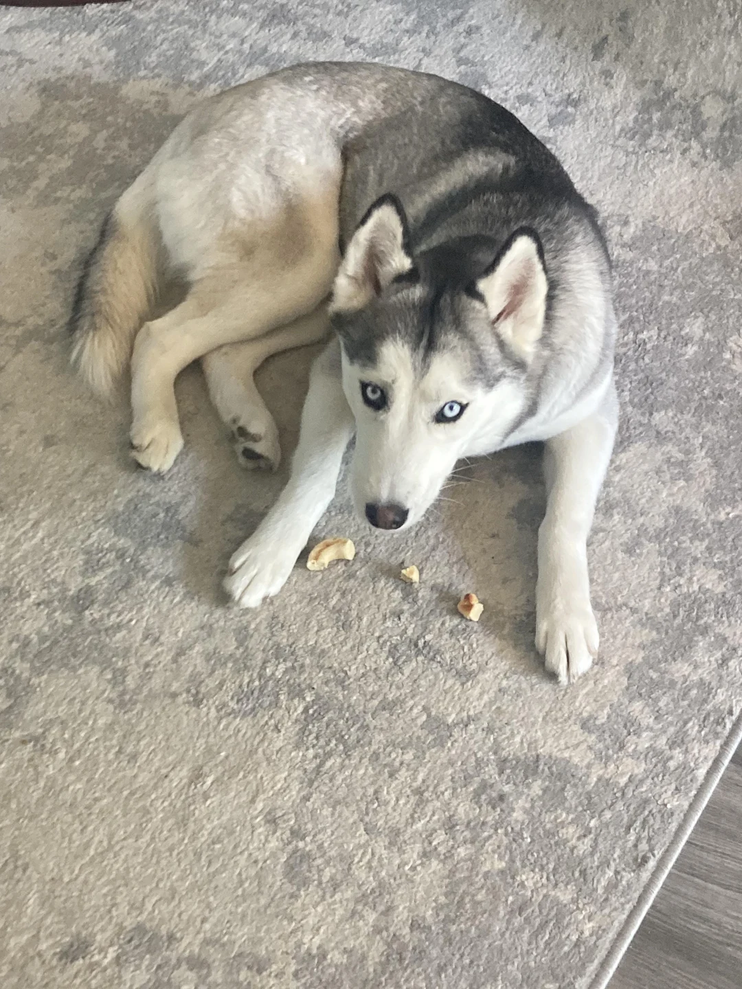 How Lass eats her snacks | Scrolller