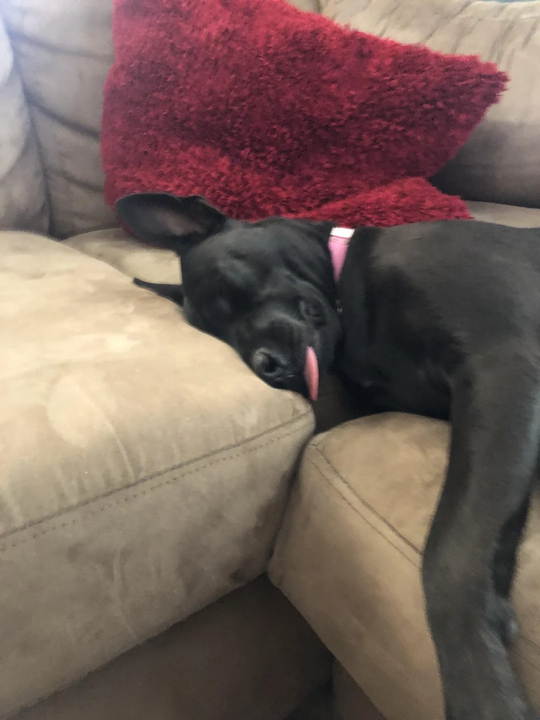 Derp sleep | Scrolller