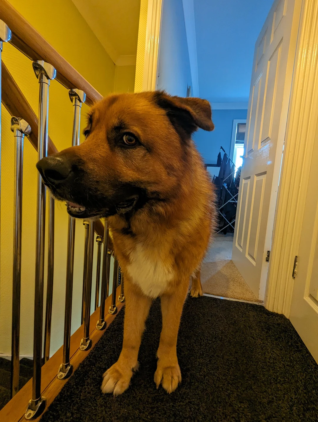 He is suspicious | Scrolller