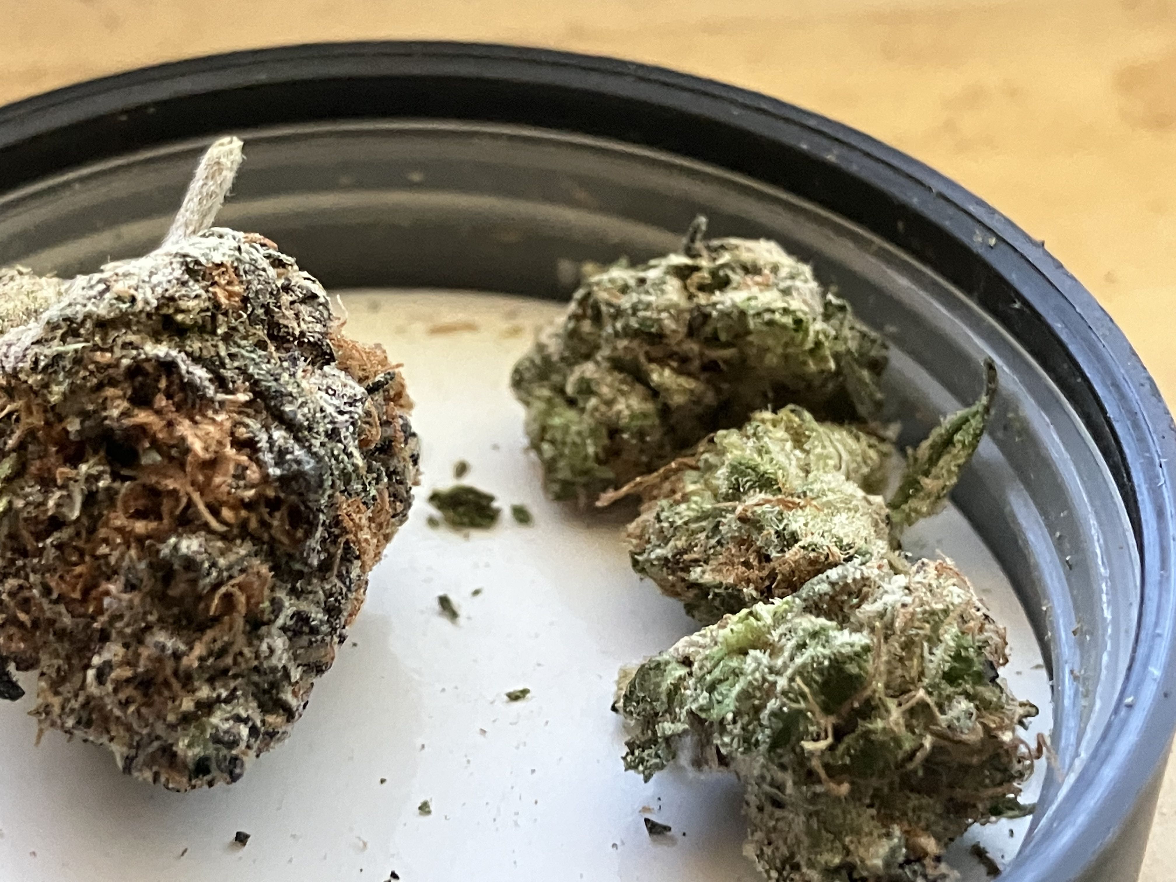 Gushers 🔥 | Scrolller