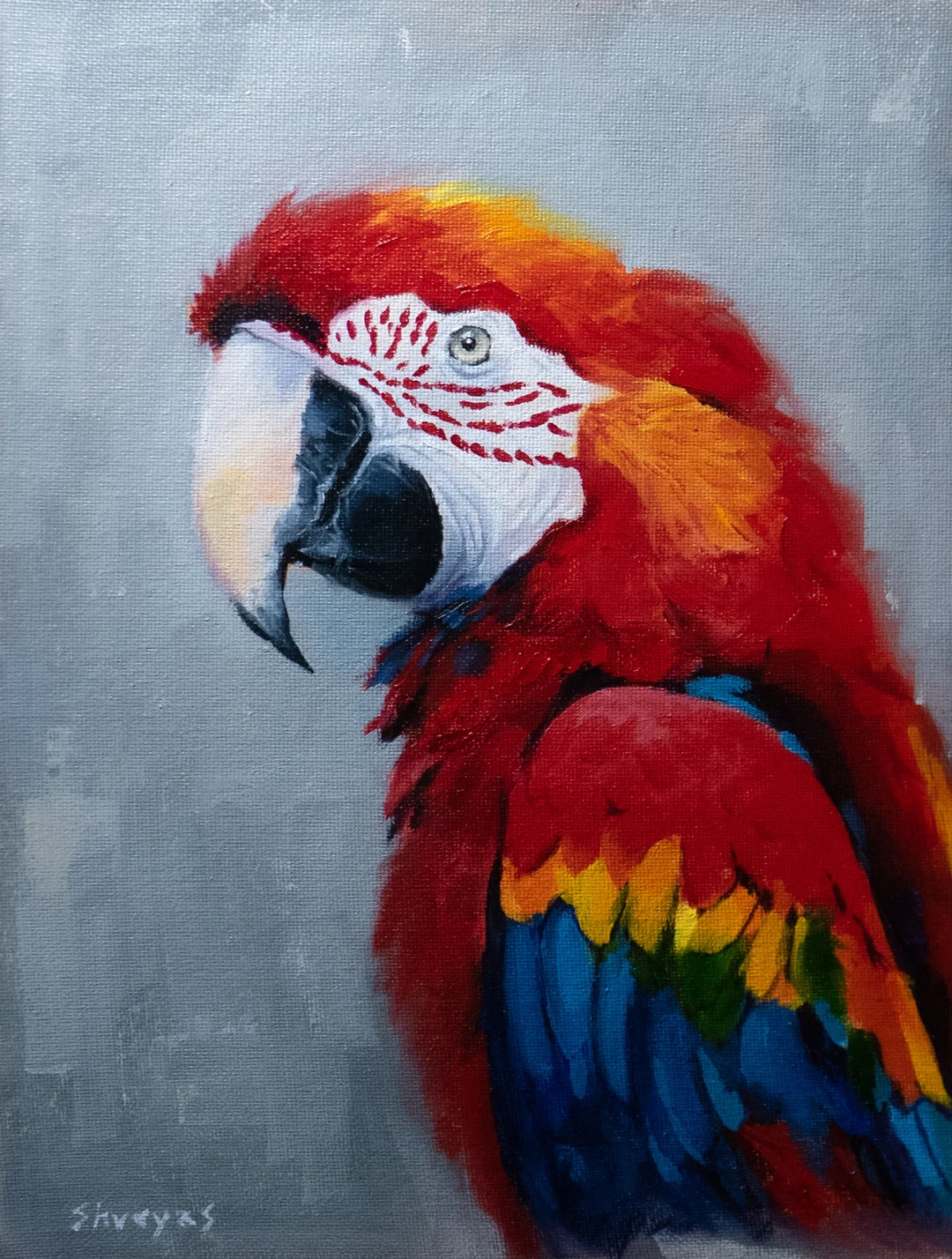 Scarlet Macaw, artace (me), oil paint, 2023 | Scrolller