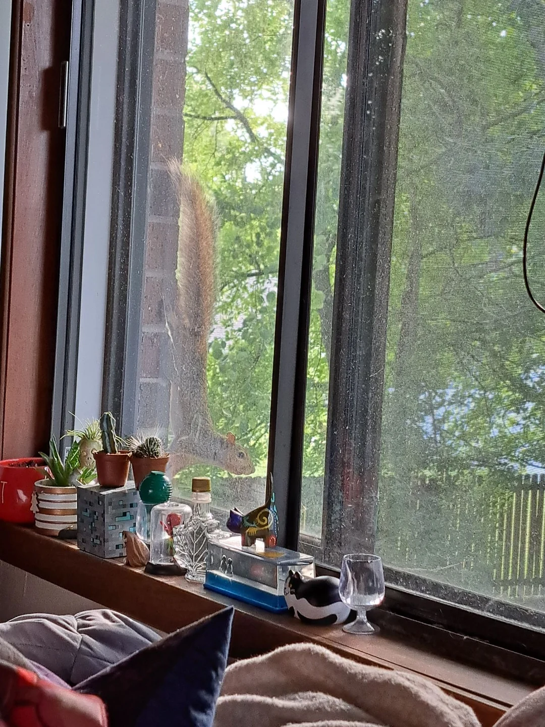 Peeping Tom at my son's window! | Scrolller