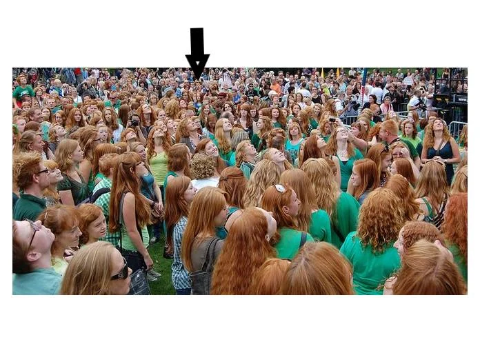 Is this Wubby? | Scrolller