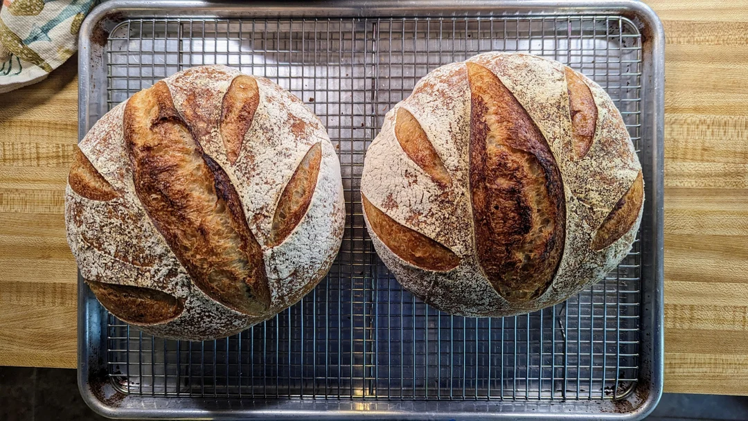 Finally. Consistent Sourdough. | Scrolller