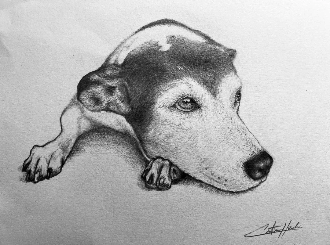“Zeus”, Me, Graphite, 2022 | Scrolller