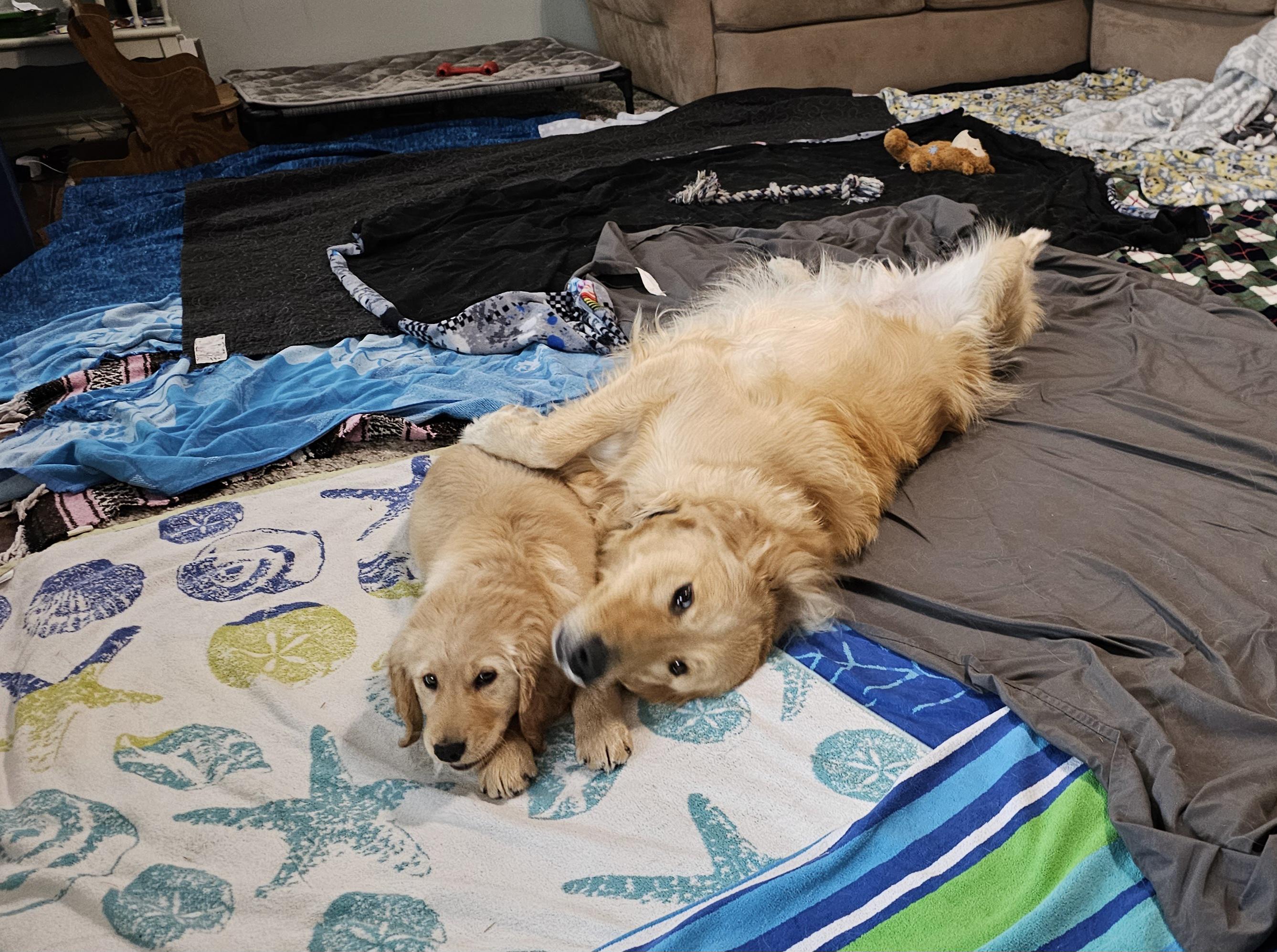 Brothers | Scrolller