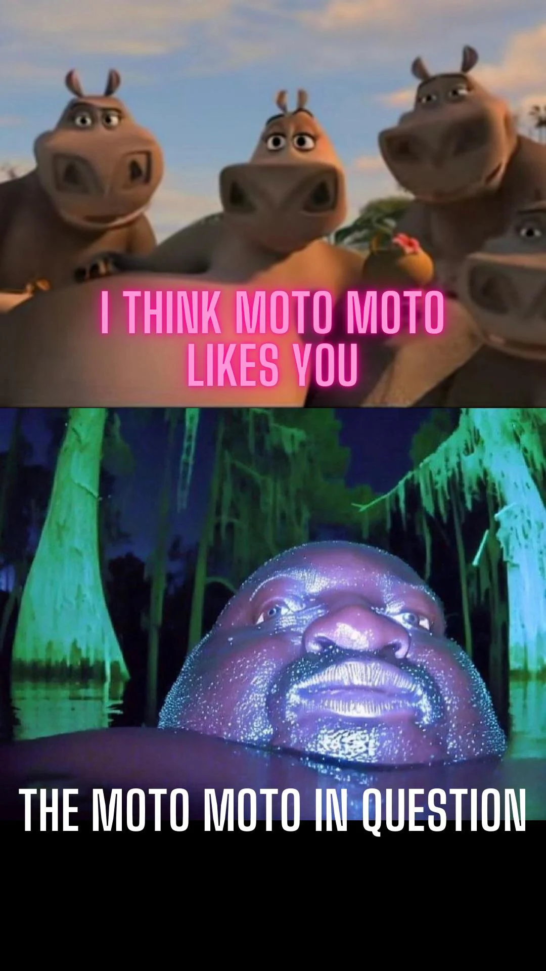 I want the good moto motos | Scrolller