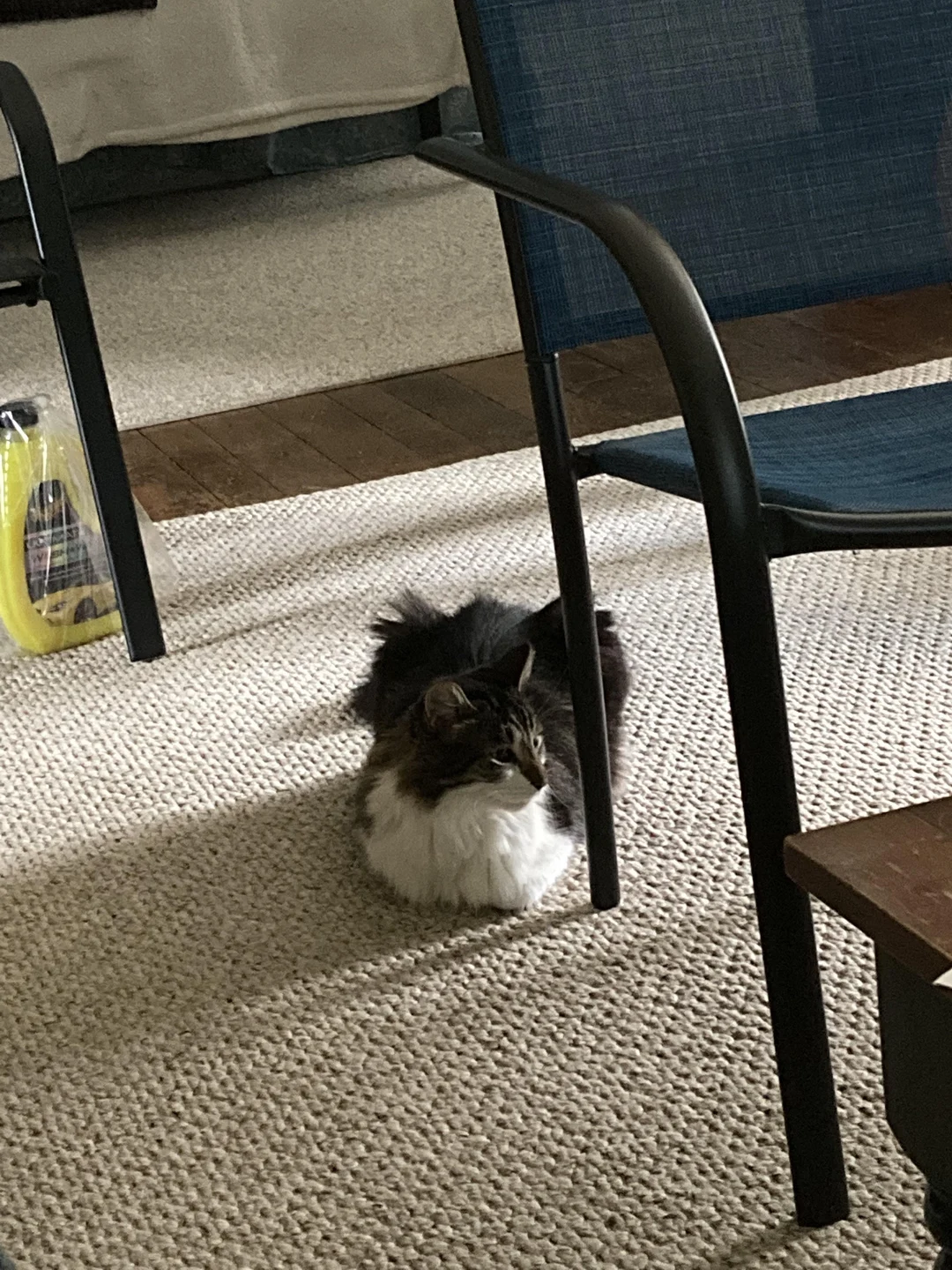 Standard loaf | Scrolller