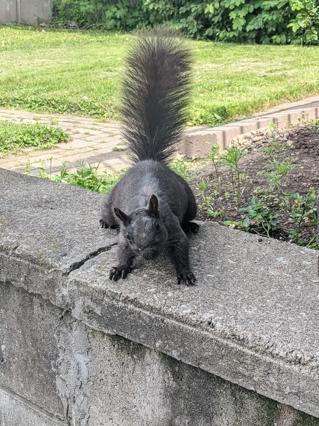 "You know the drill. Give up the snacks!" 😂🥰 | Scrolller