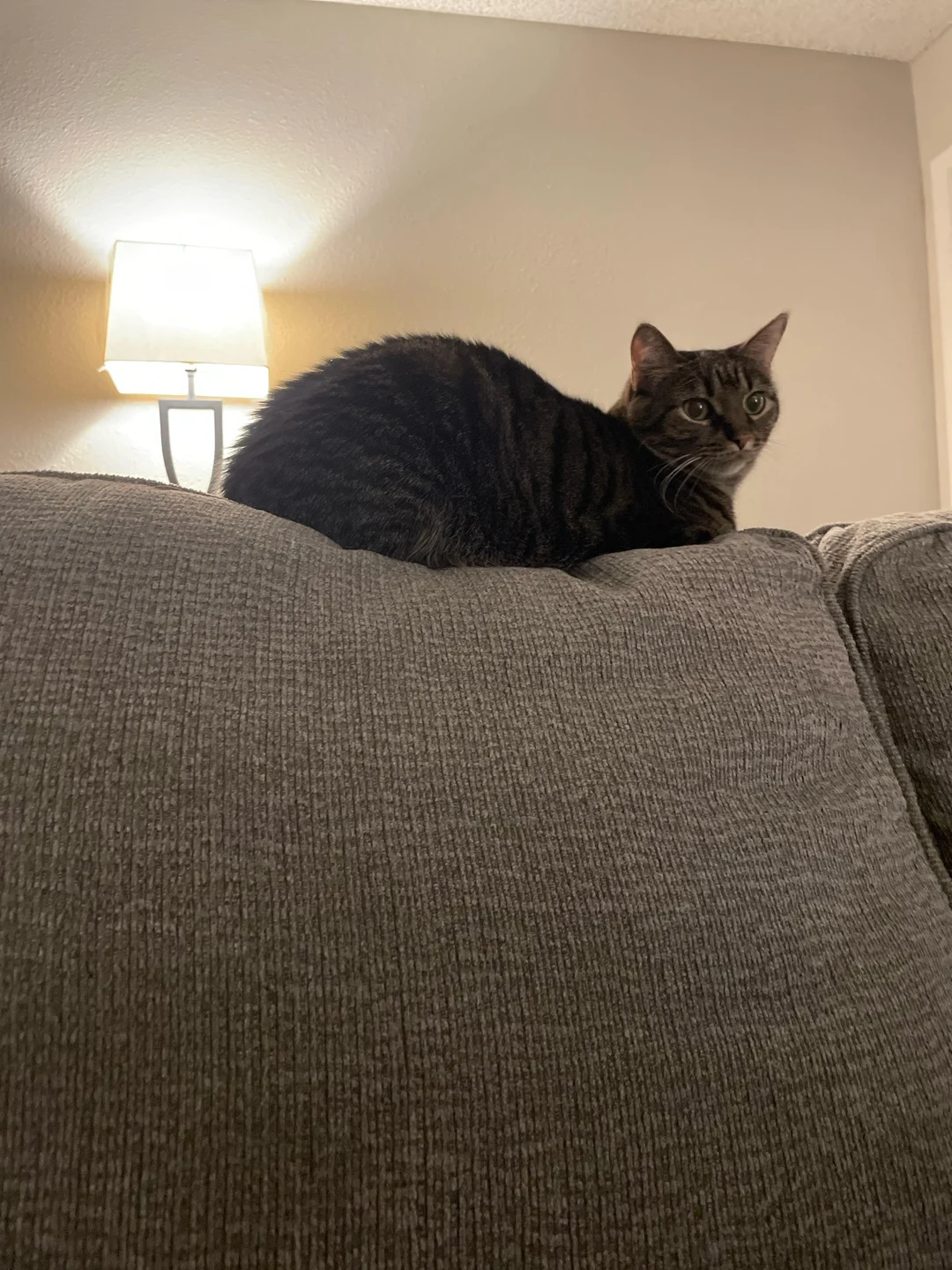 Loaf | Scrolller