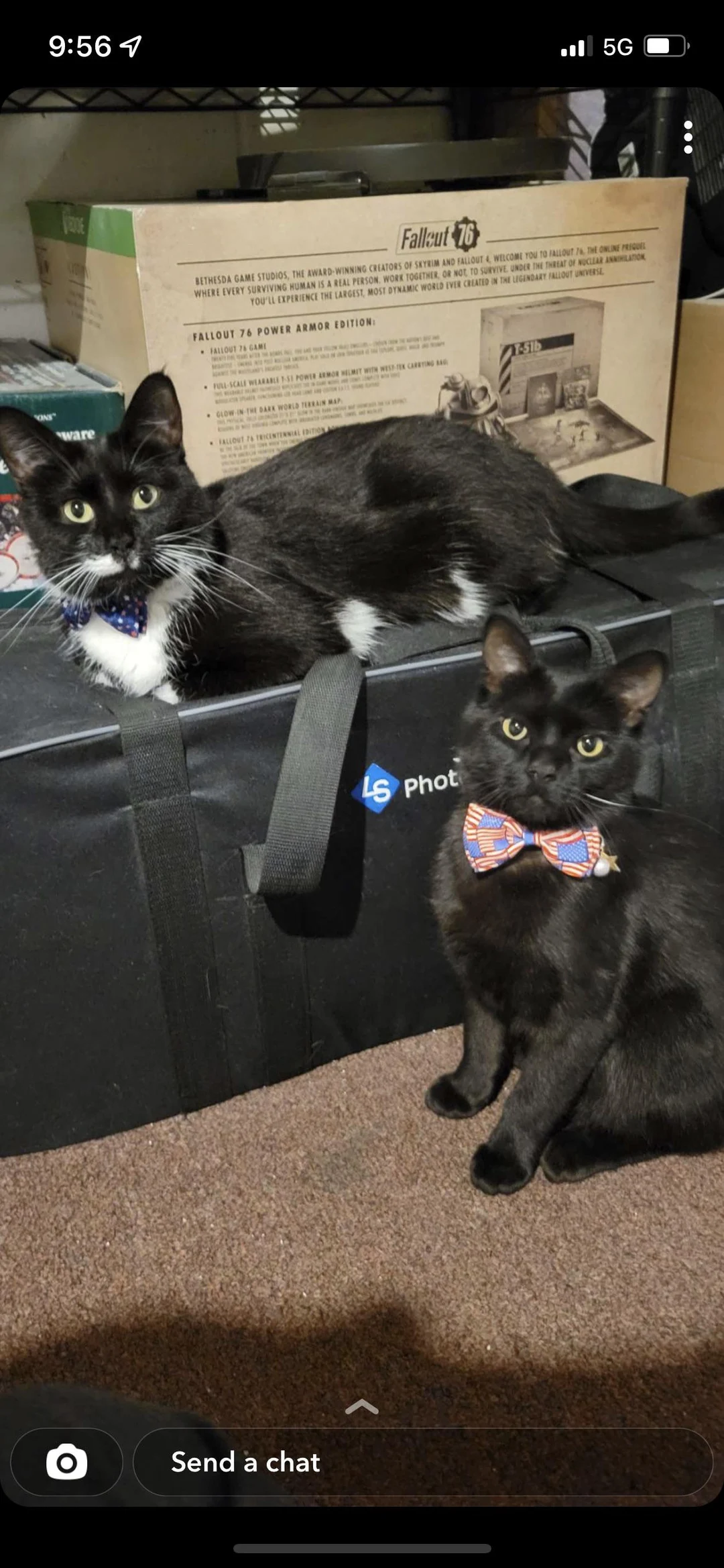 Big sister taught little brother how to wear bow ties. | Scrolller