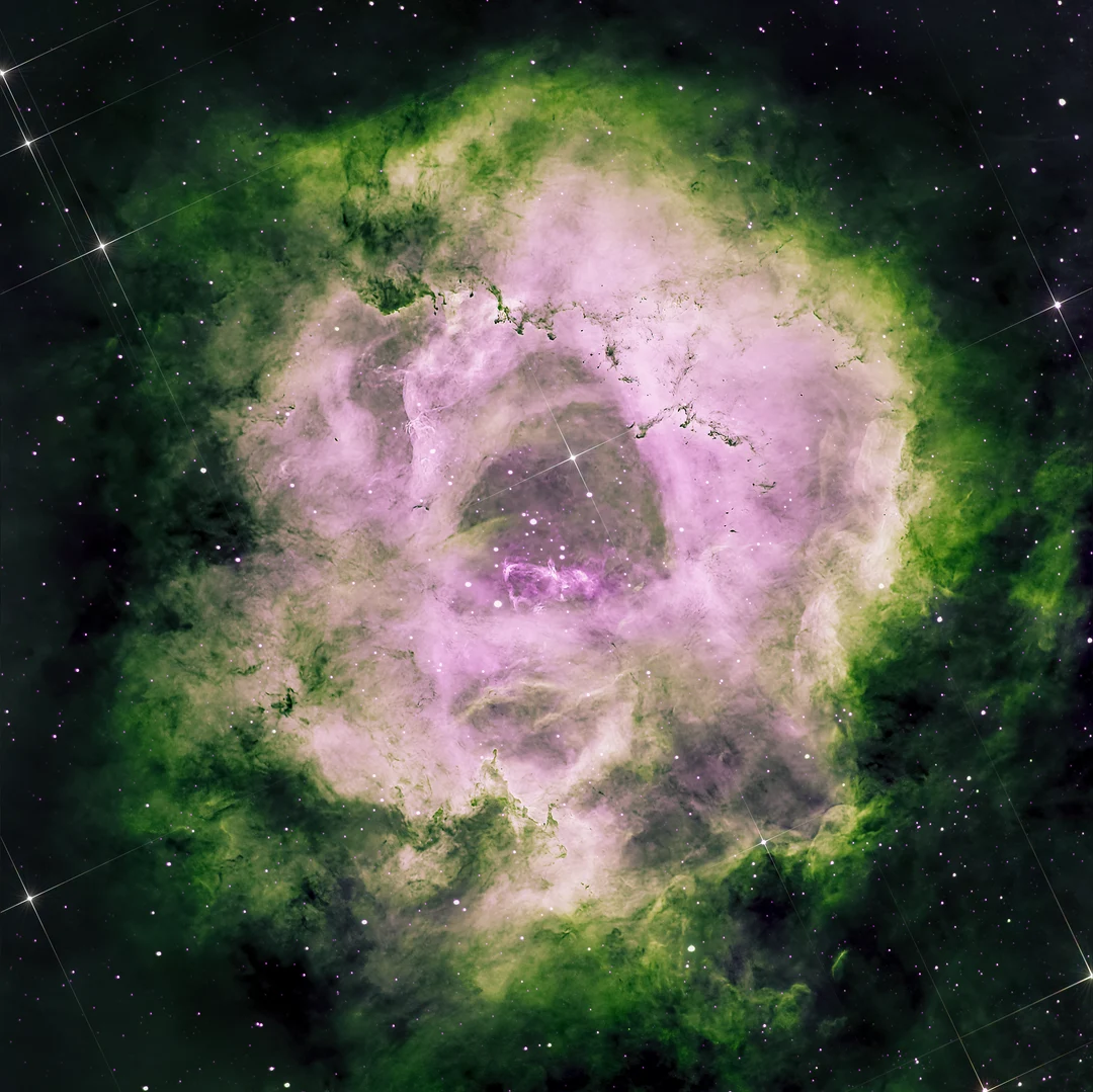 "A Cosmic Rose in Bloom" - Rosette Nebula taken and processed by me with my own spin on it ...
