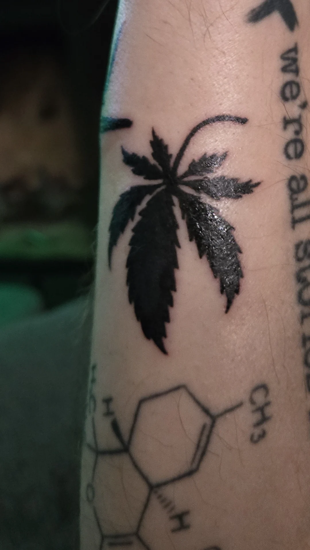 Beautiful leaf | Scrolller