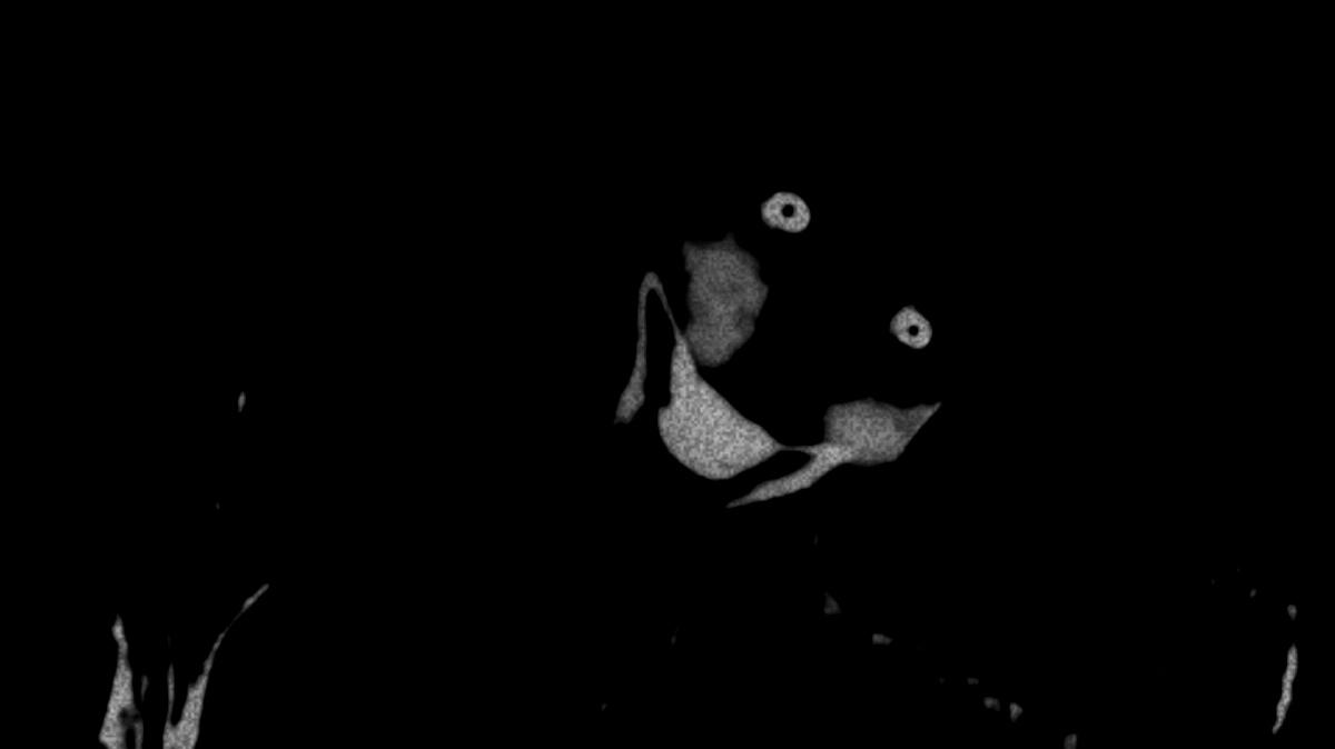 Creepy (IDK what else to put) | Scrolller