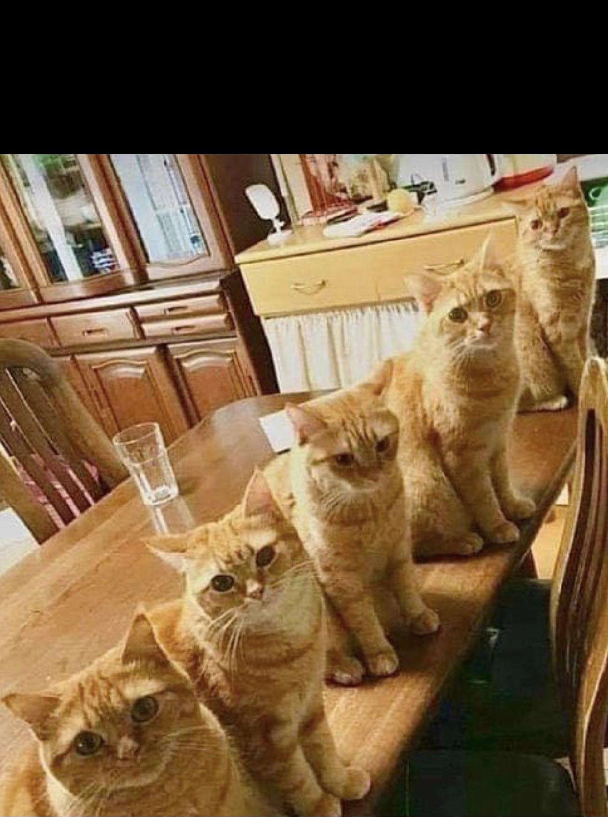 When the NPCs glitch and clutter, trapping you in a doorway | Scrolller