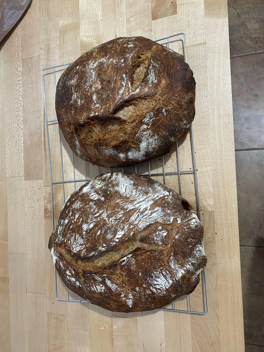 Saturday 75% Whole Wheat Bread | Scrolller