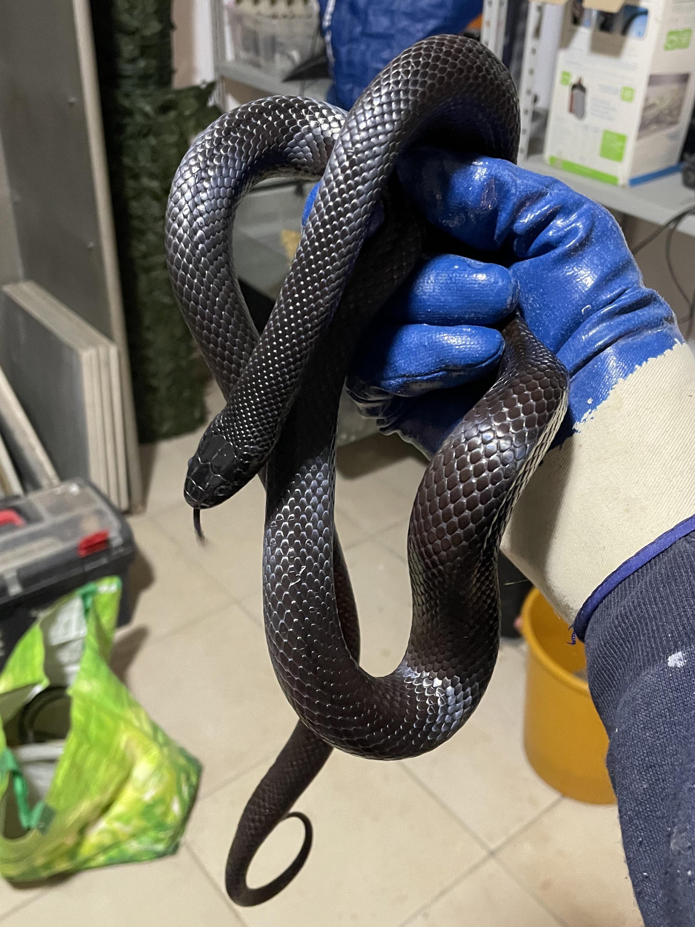 My favourite | Scrolller